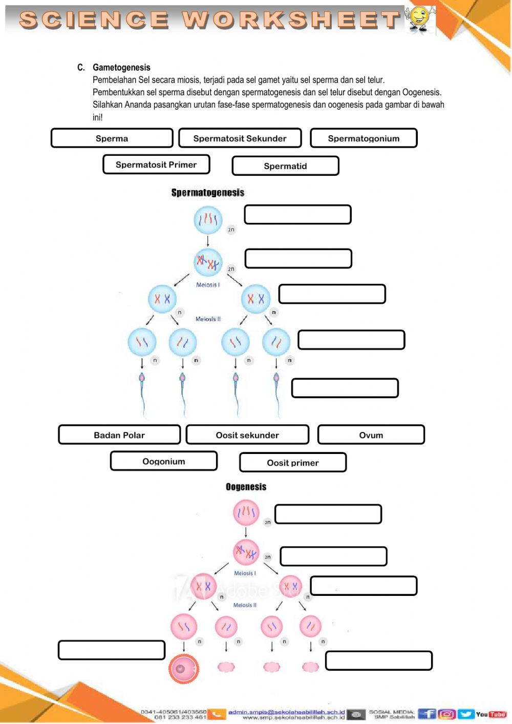 Cell Division Worksheets Biology Worksheet Division Worksheets Mitosis ... Cell Division Worksheets Biology Worksheet Division Worksheets Mitosis ...